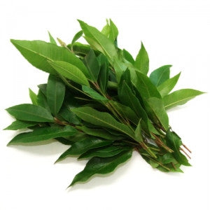 Lemon Myrtle Floral Water — Sunrise Botanics
