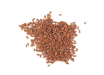 Asalia Seed Whole — Sunrise Botanics